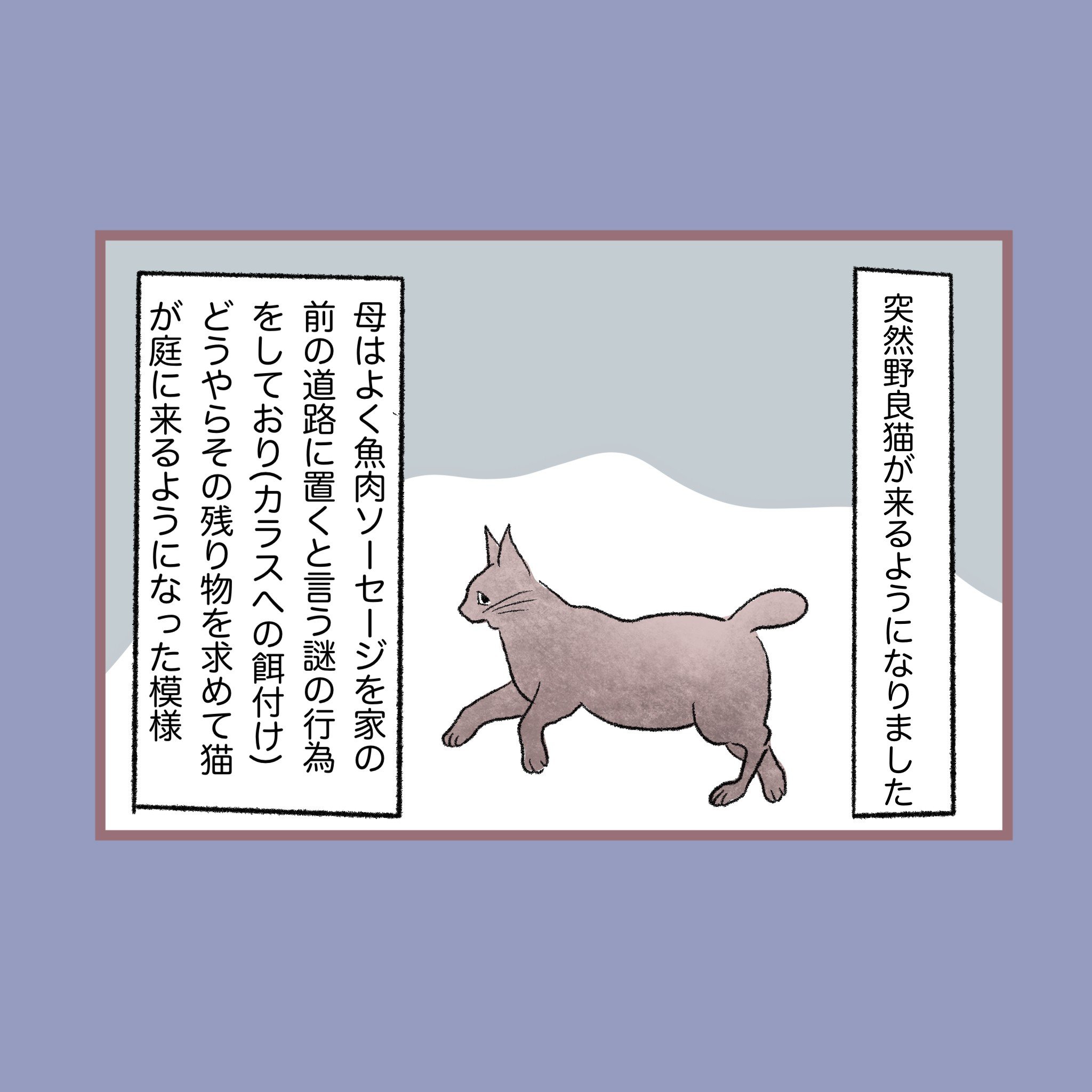 「猫の方があんたよりかわいい」母に愛される猫が羨ましい【子ども大人な毒親との20年間 Vol.88】｜コラム｜eltha(エルザ)
