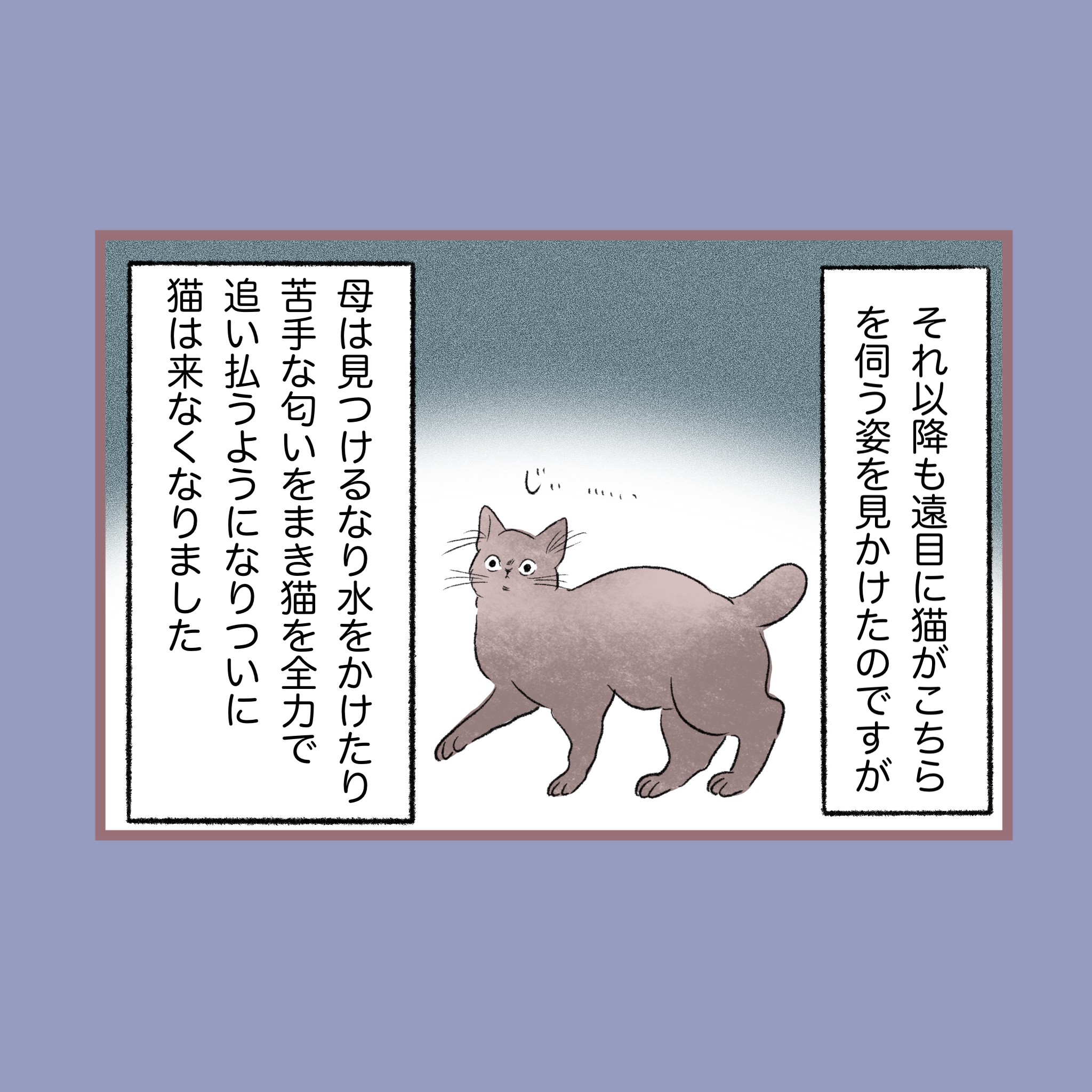 餌付けした野良猫を飼おうとする母 しかし保護当日、母の叫び声が!?【子ども大人な毒親との20年間 Vol.89】｜コラム｜eltha(エルザ)