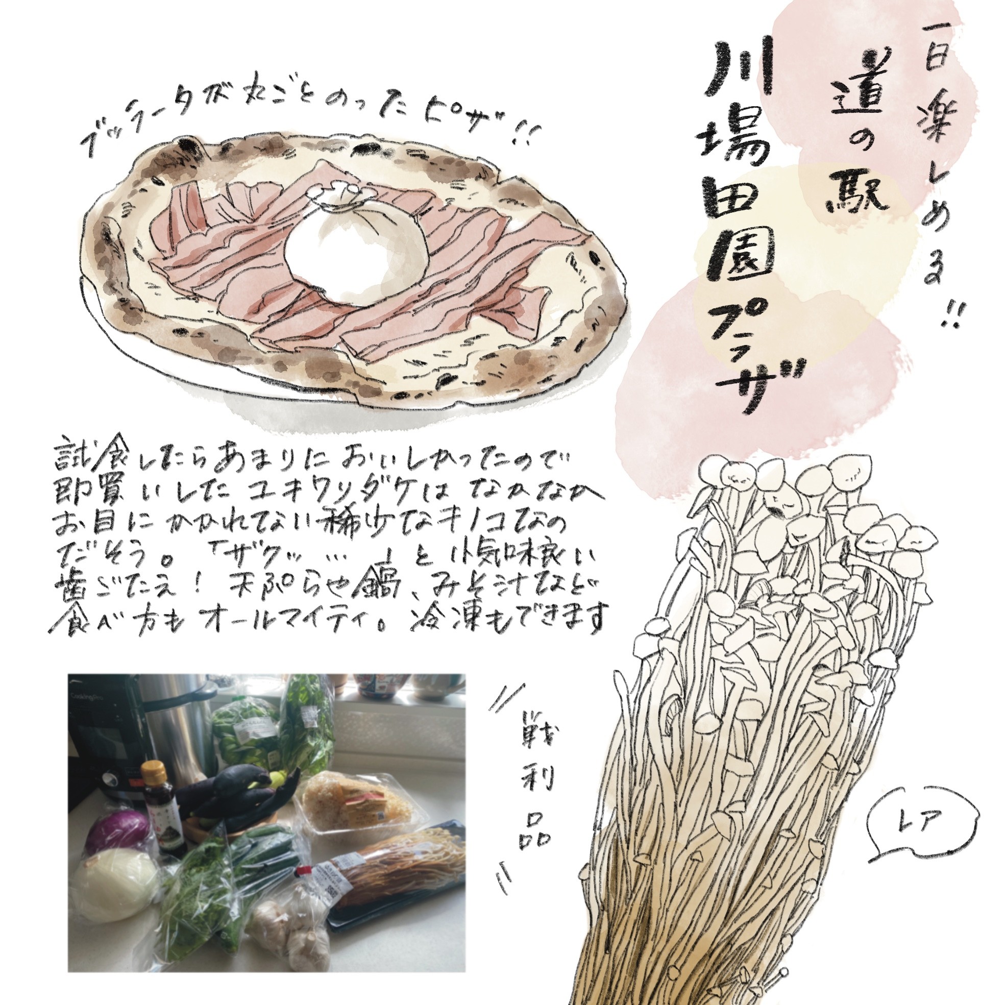 旅の終わりは、おいしたのしい「道の駅」へ！ 横峰家おすすめの2スポット【横峰沙弥香の「まめあるき」 Vol.27】｜コラム｜eltha(エルザ)