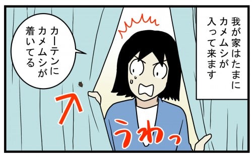 本当に臭い？ 強烈な悪臭で知られる「カメムシ」の匂いを感じたことがない私【こどもと見つけた小さな発見日誌 Vol.69】｜コラム｜eltha(エルザ)
