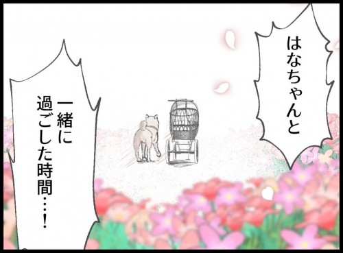 ついに花ちゃんはお空へ…！ 妻から我が子へ贈るメッセージ【僕たちは親になりたい Vol.59】｜コラム｜eltha(エルザ)