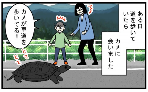 クサガメの名前の由来に驚愕！ 車道を歩く「カメ」を保護して運んだが…!?【こどもと見つけた小さな発見日誌 Vol.74】｜コラム｜eltha(エルザ)